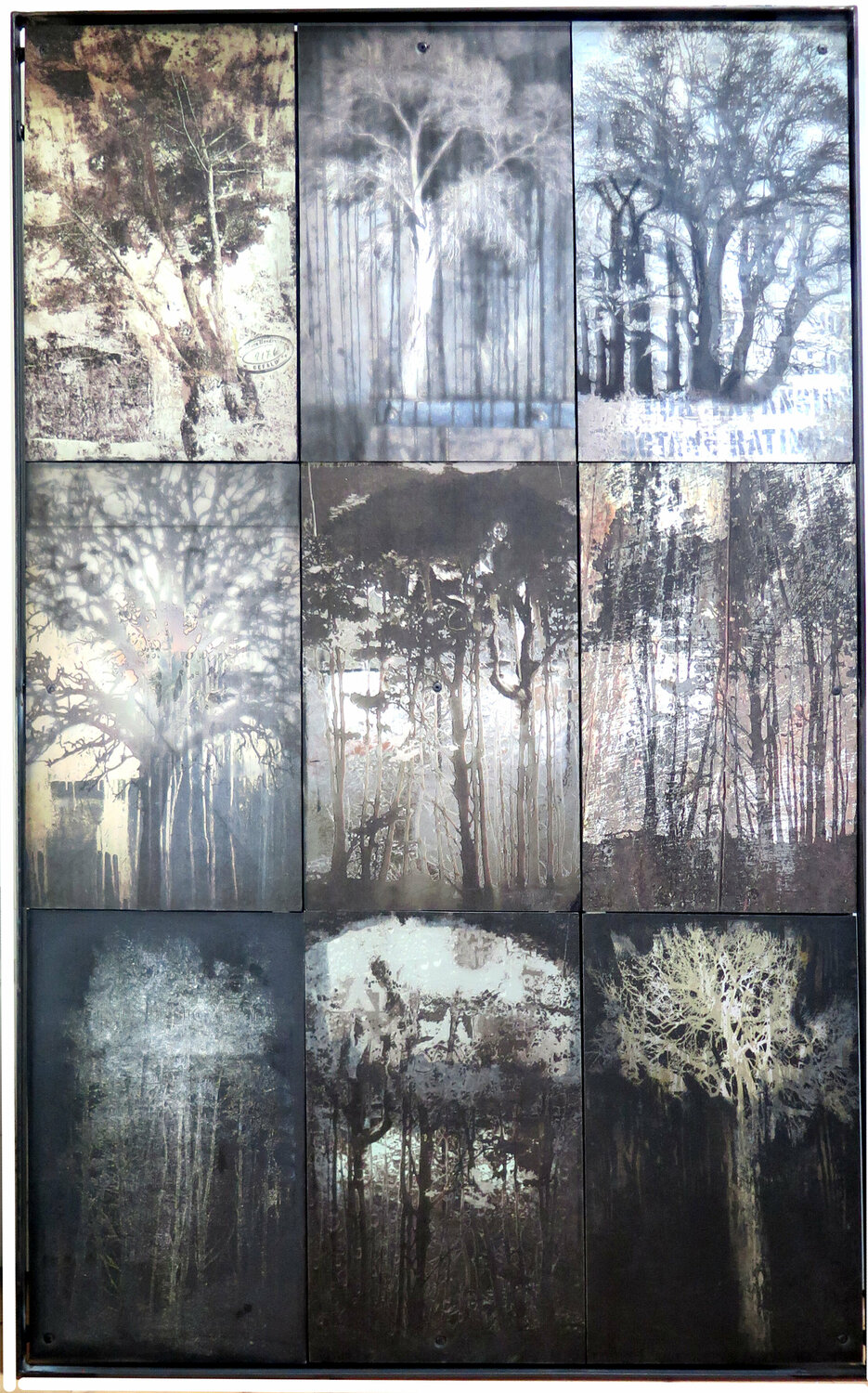 Cinquième saison Guy Colin