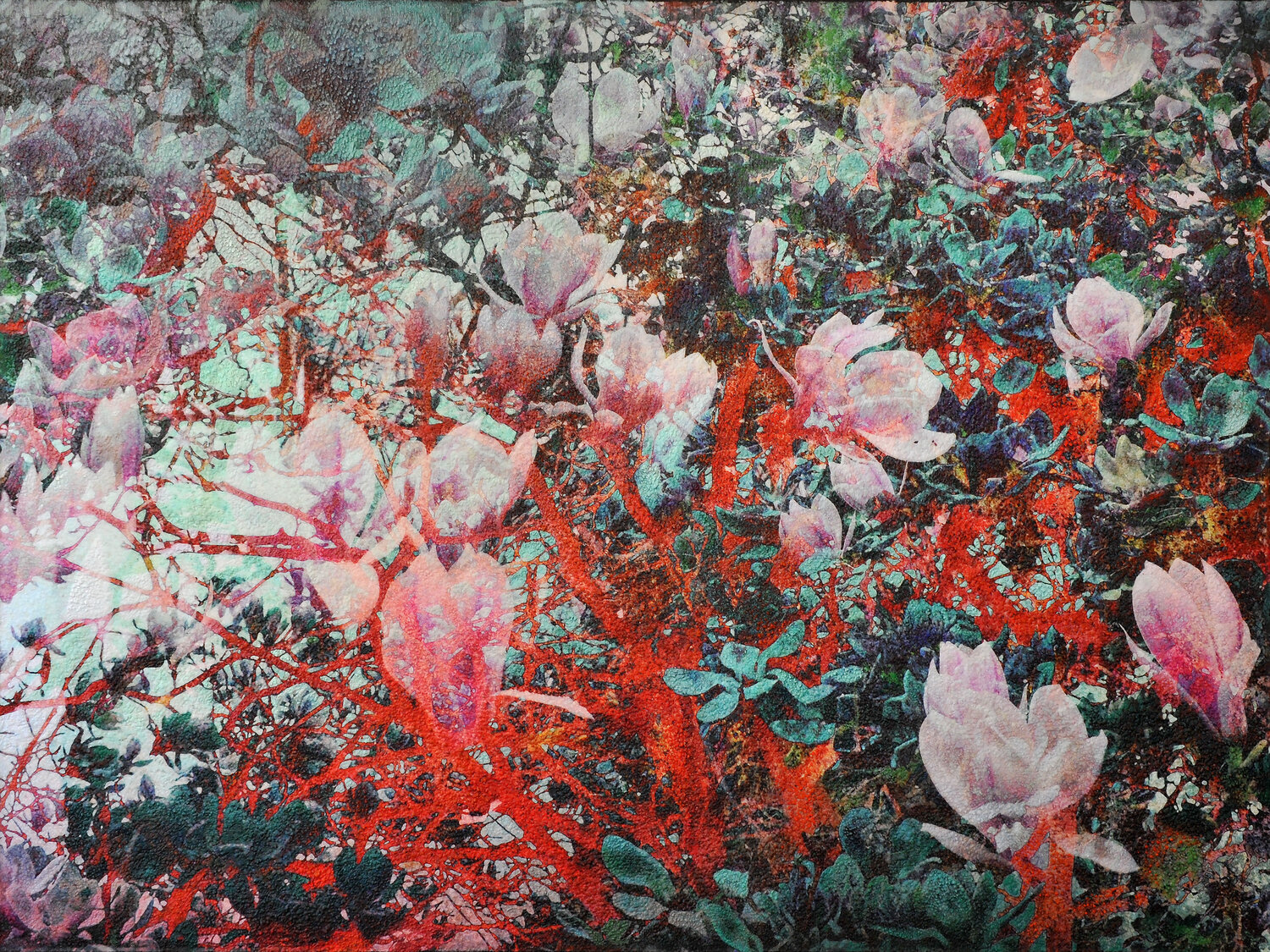 Magnolia by Karin Vermeer (2024) : Painting Acrylic, Oil on Canvas ...