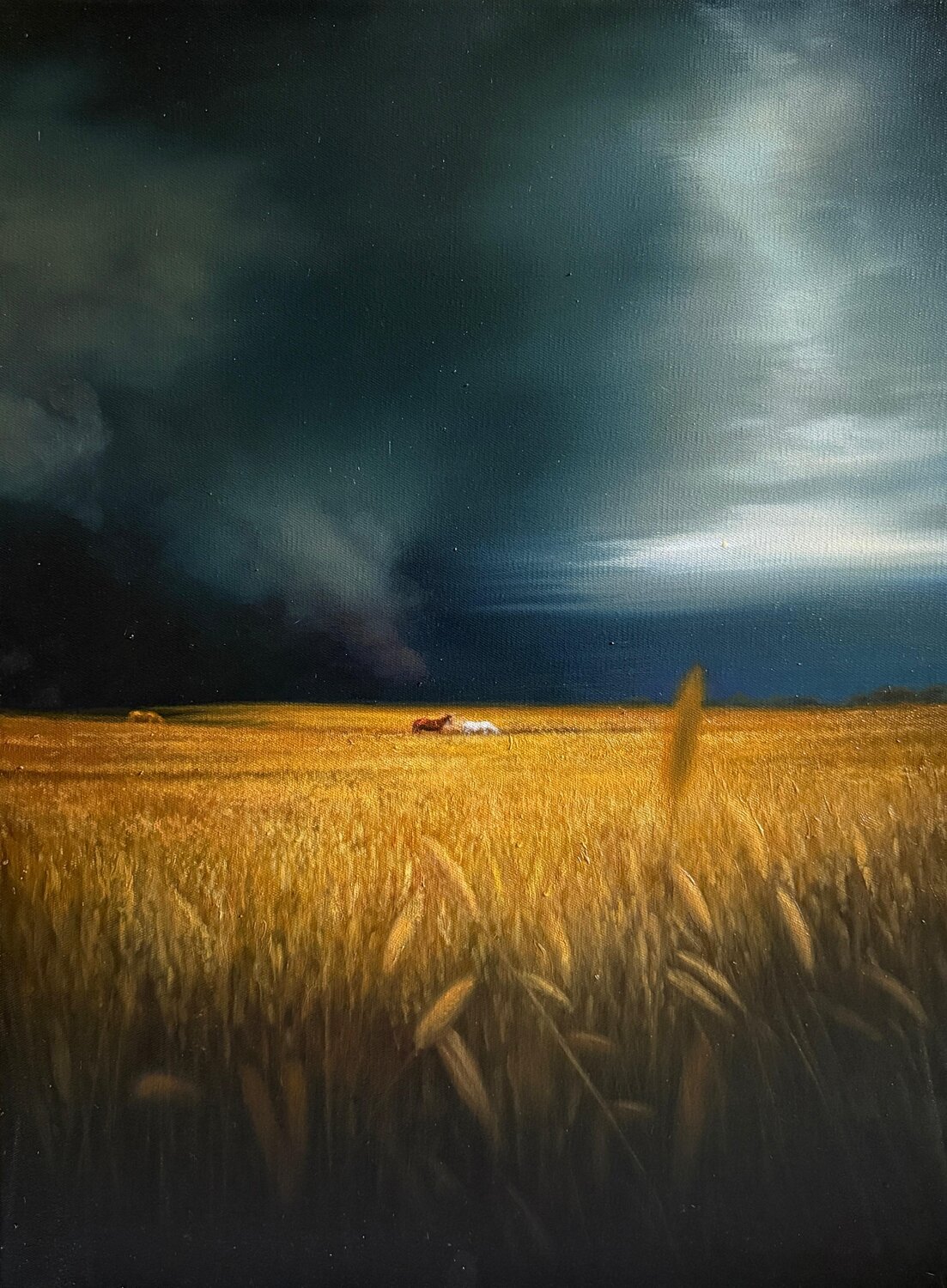 STORM,FIELD AND WILD HORSES by Emil Kasymov (2025) : Painting Oil on ...