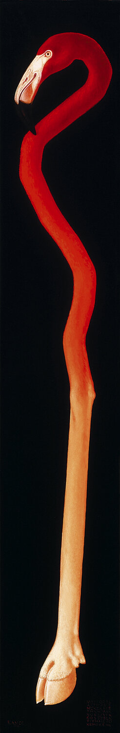 Phoenicopterus nefarius - oiseau pied de bouc de Lukas Kandl (2002 ...