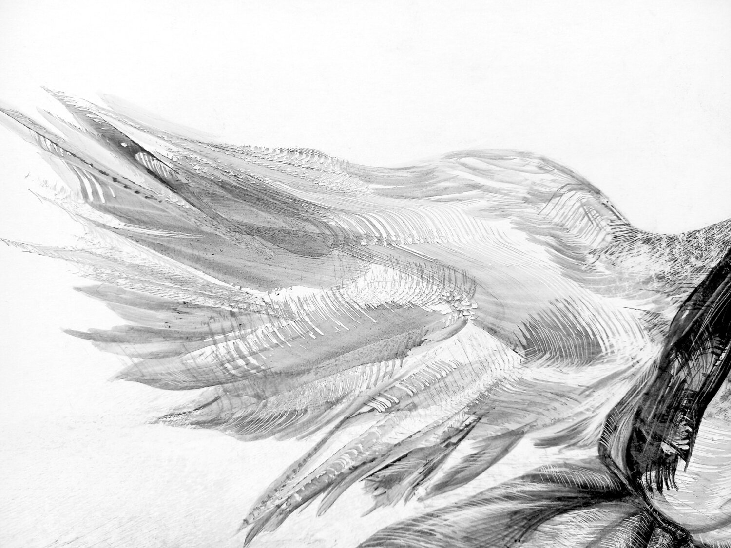 Lessons of heaven and earth by Lana Korolievskaia (2024) : Drawing ...