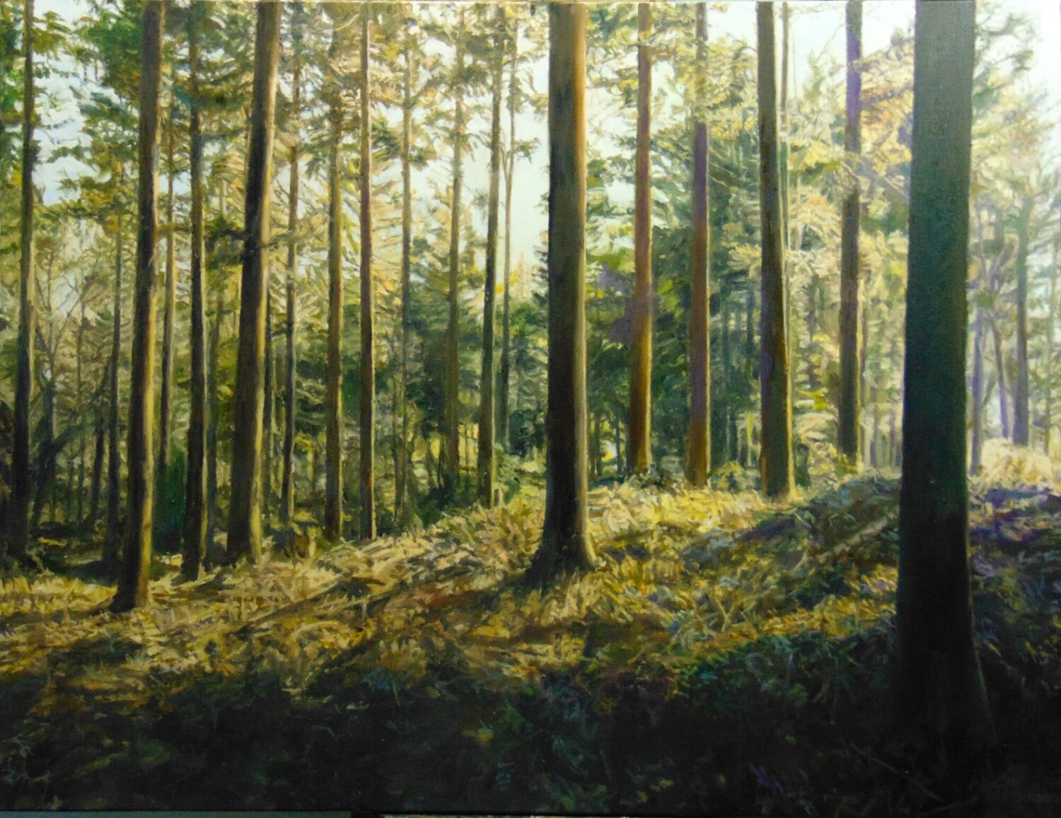 Trees Eating Light by Lee Thomason (2023) : Painting Oil on Canvas ...