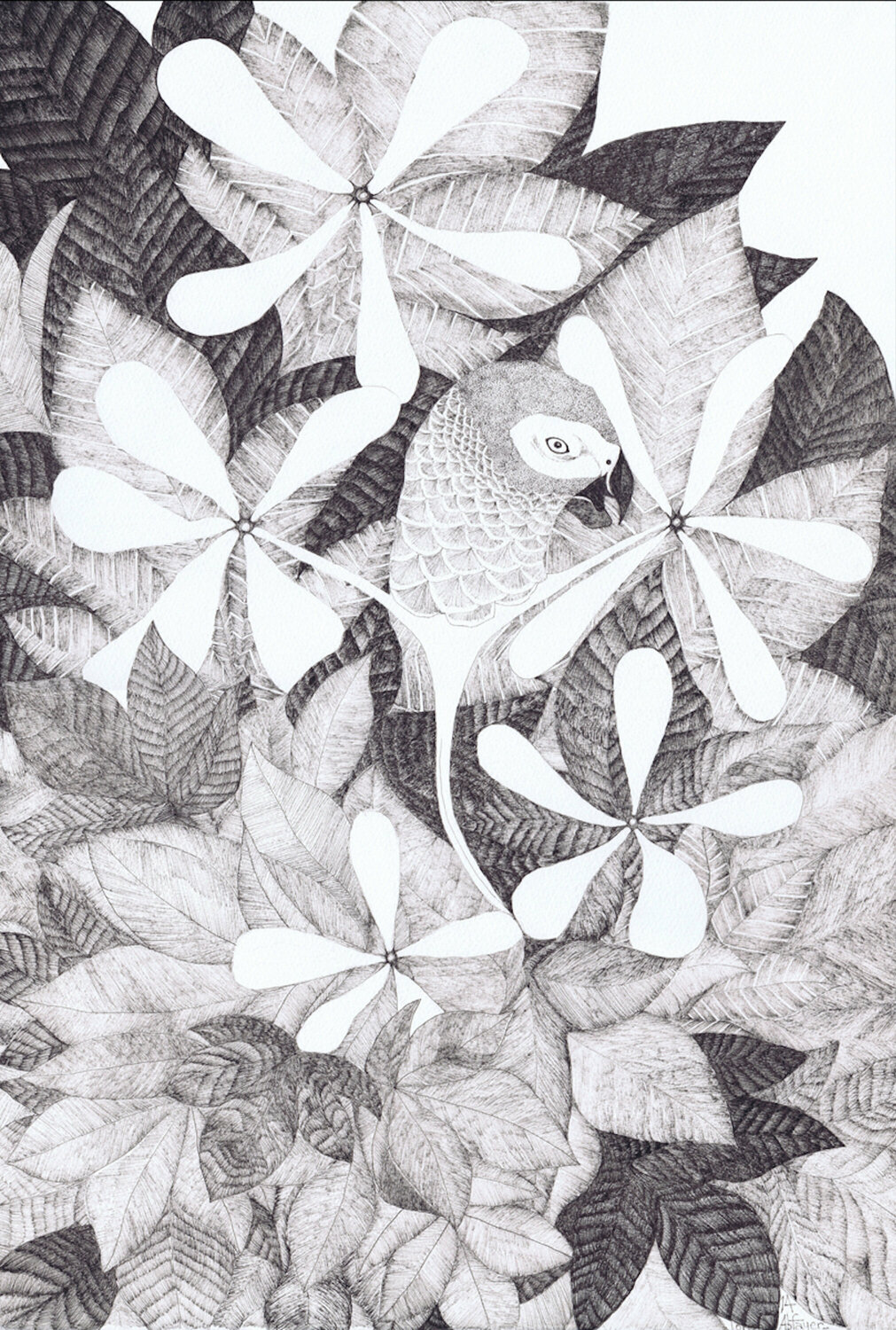 exoticity Lorene Abfayer