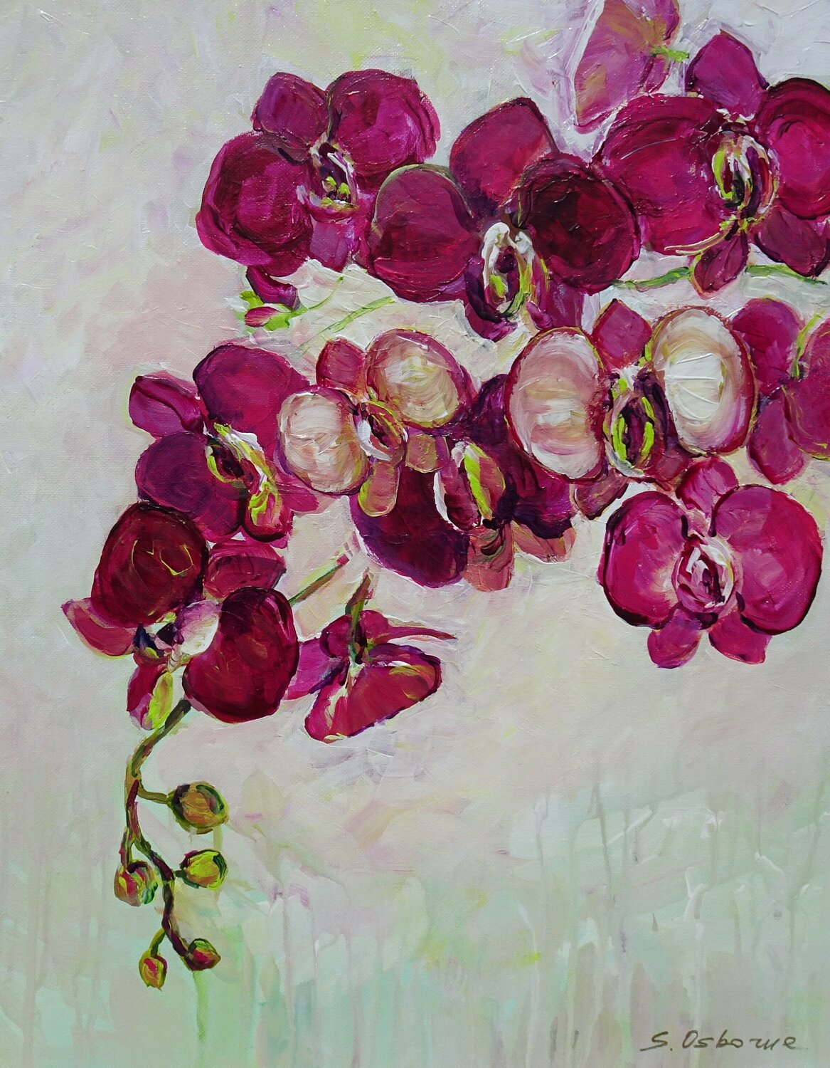 Orchids Paintings