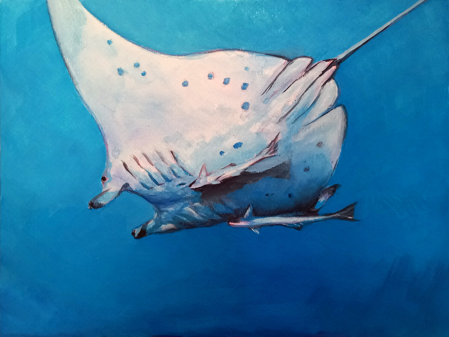 Mantarraya by Pablo Egea (2023) : Painting Gouache on Paper - SINGULART
