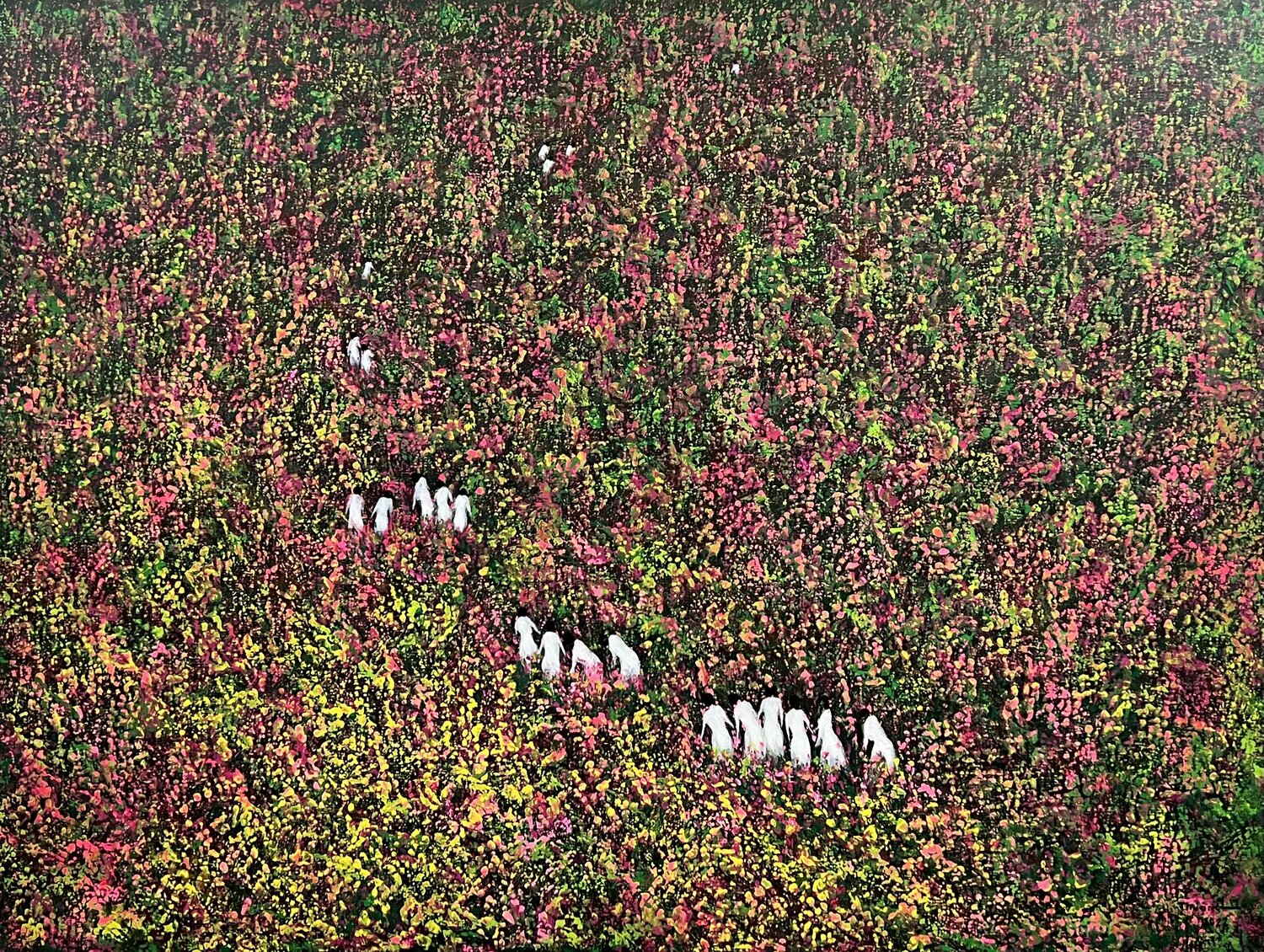 Spring on the triangular flower field by Trong Thuong Tran (2022 ...