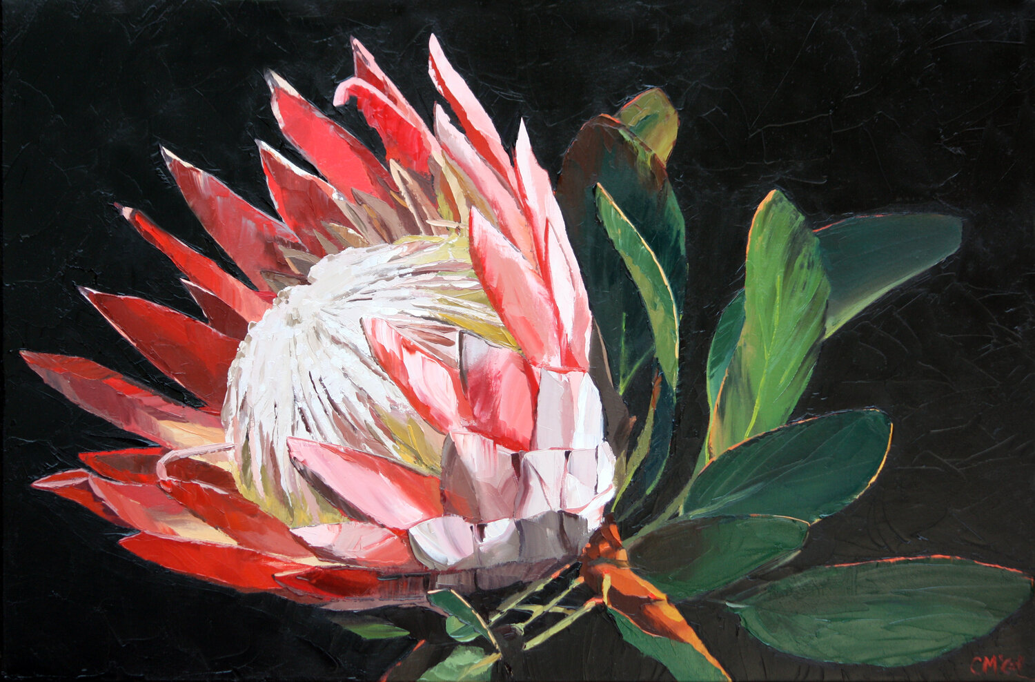 Protea by Claire Mc Call (2022) : Painting Oil on Canvas - SINGULART