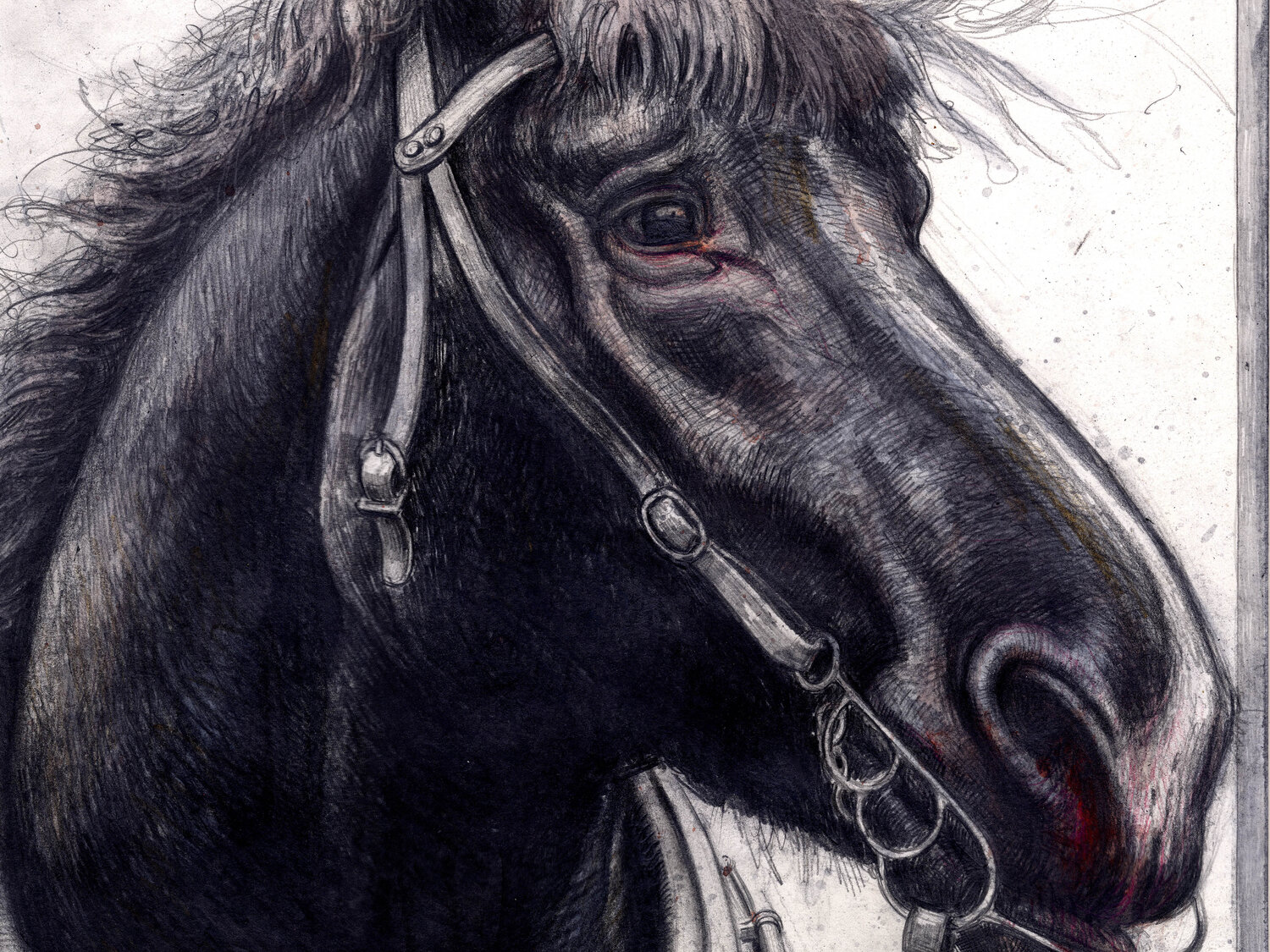 Boxer - Farm der Tiere (Animal Farm) von Andreas Noßmann (2023 ...