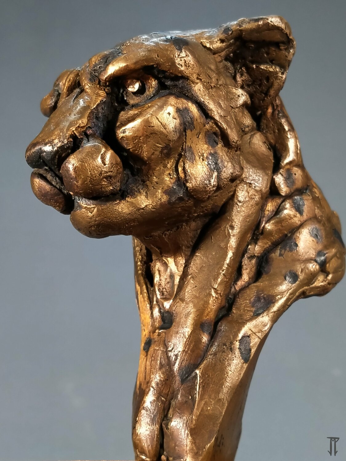 Ingulule by José Miguel Pino (2021) : Sculpture Bronze, Wood - Singulart