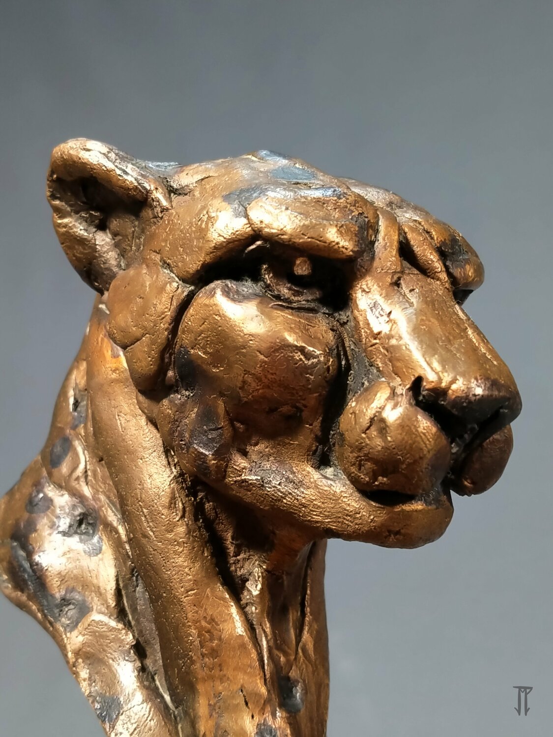 Ingulule by José Miguel Pino (2021) : Sculpture Bronze, Wood - Singulart