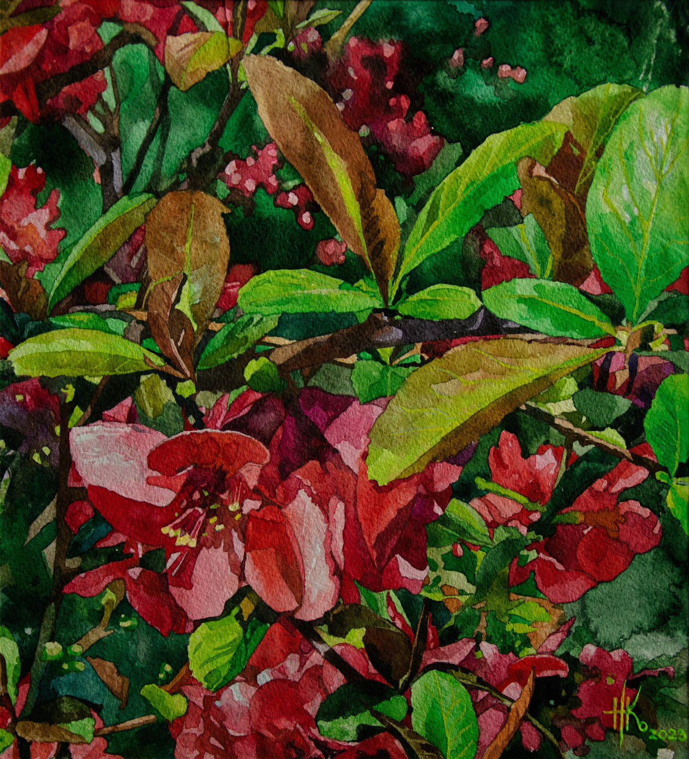 Japanese Quince von Zhanna Kondratenko (2023): Malerei Aquarell auf ...
