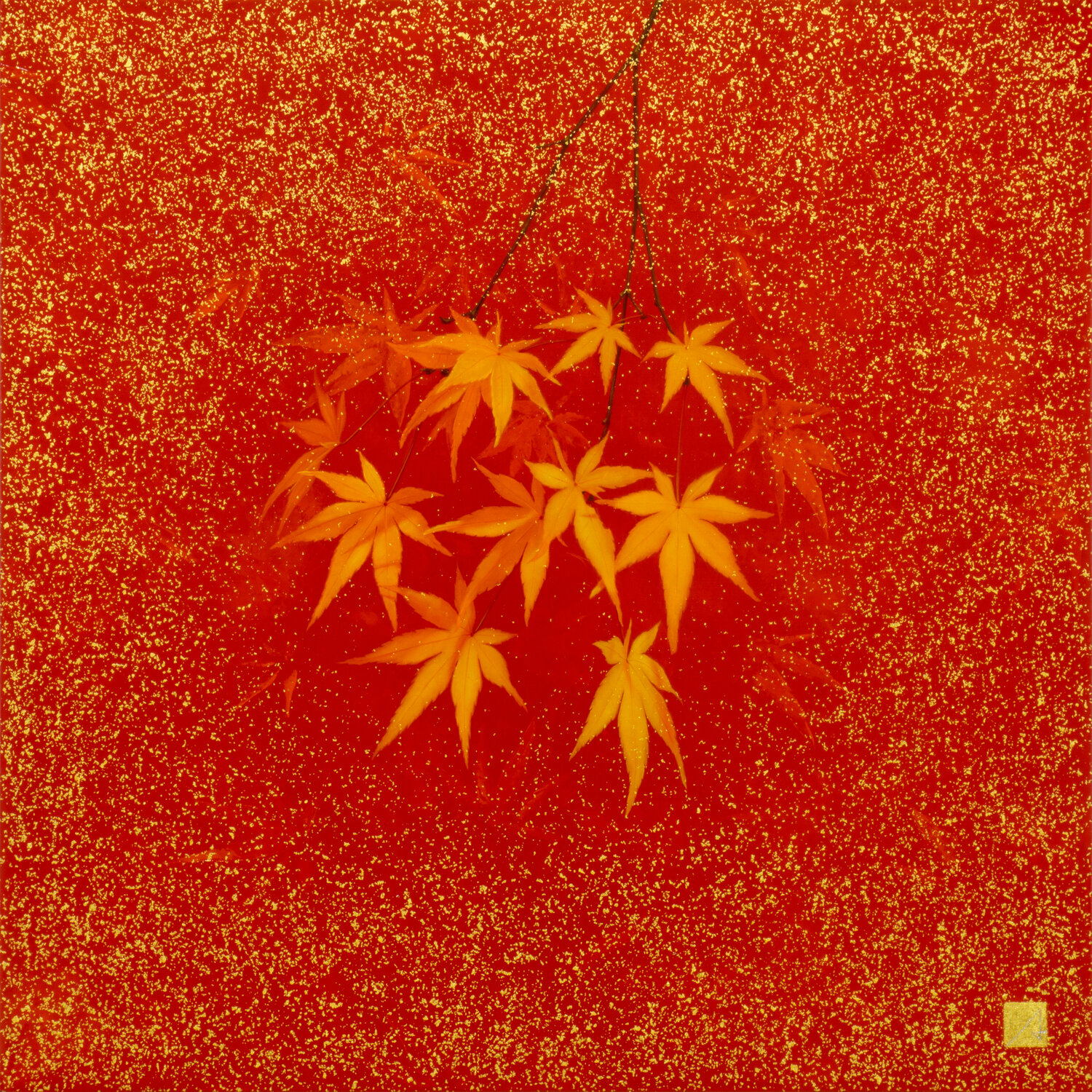 AUTUMN LEAVES DIAGRAM ... MARGINS OF THE ORANGE ／ 紅葉圖 ... オレンジの余白 von ...