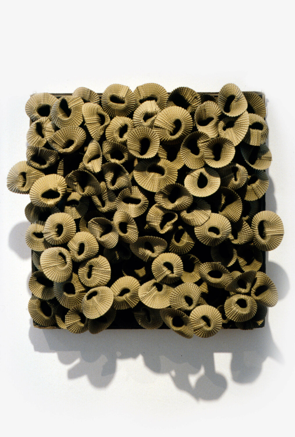 Erregung by Eva Yeh (1996) : Work on Paper Objects on Cardboard - Singulart