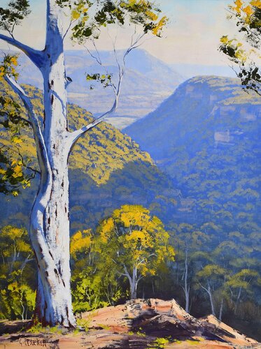 Graham Gercken: 画家 Australian - Singulart