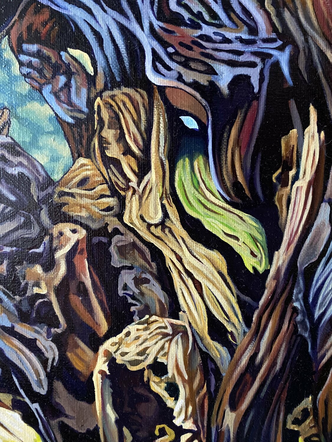 Sequoia dreams by Elena Zima (2018) : Painting Oil on Canvas - SINGULART