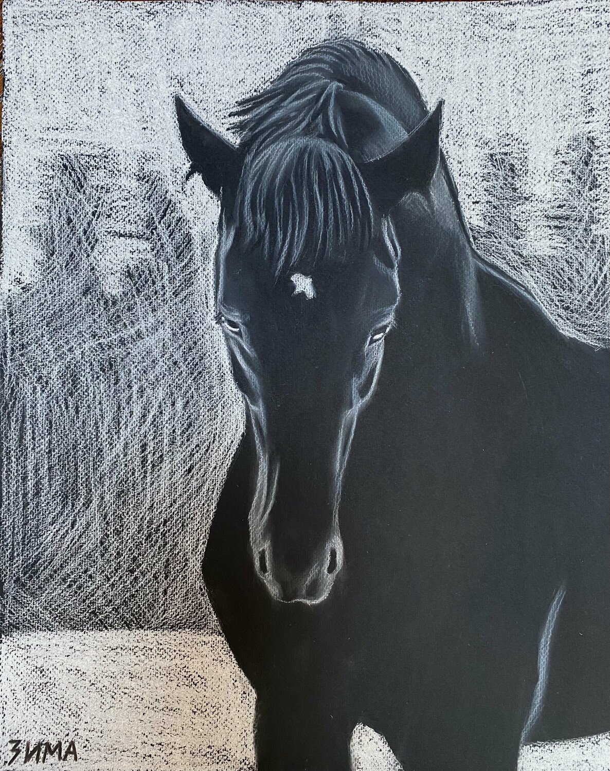 Black horse, II by Elena Zima (2021) : Drawing Pastel on Paper - Singulart
