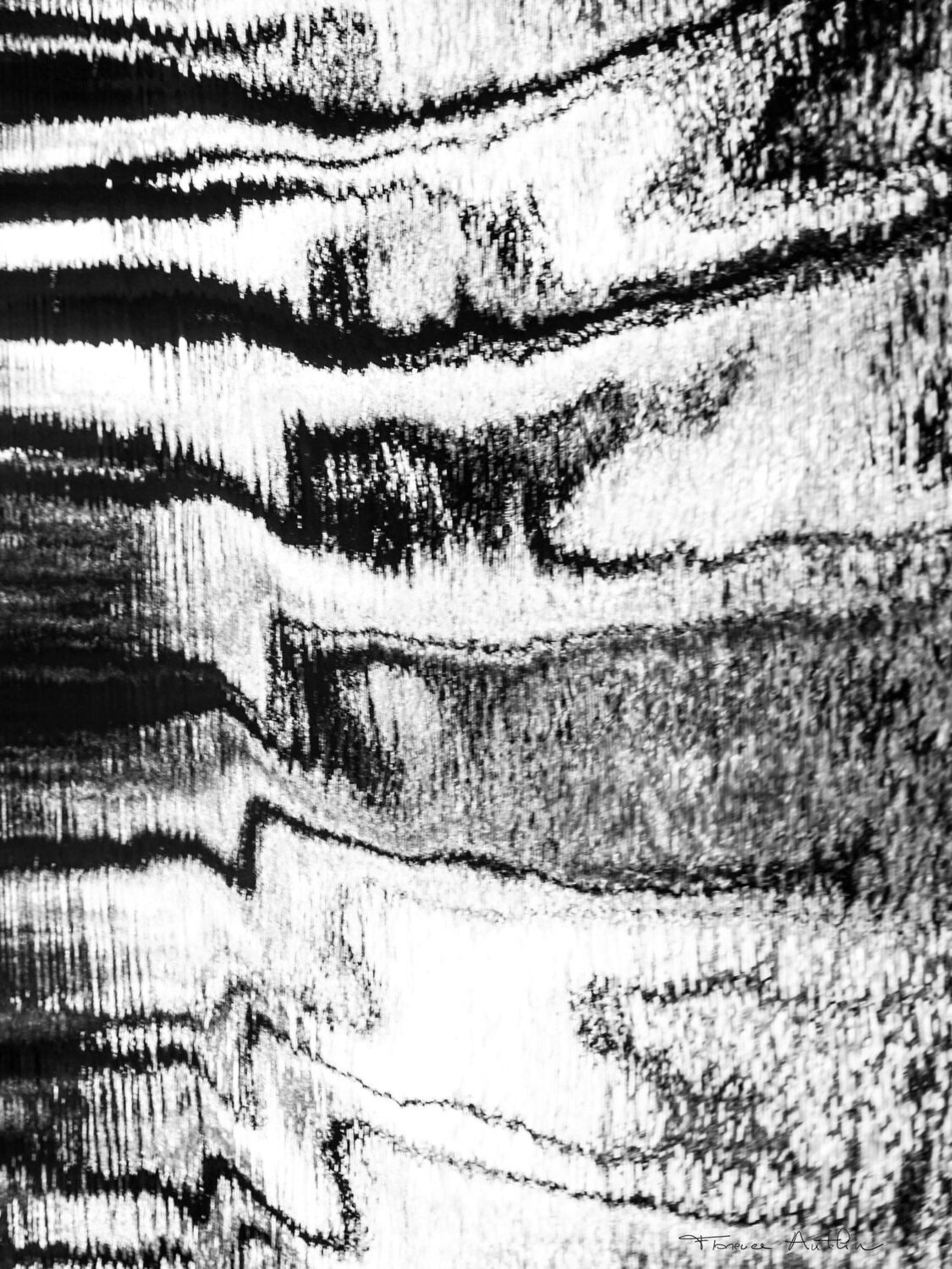 SUIVRE LE CHEMIN by Florence Autelin (2023) : Photography Digital on ...