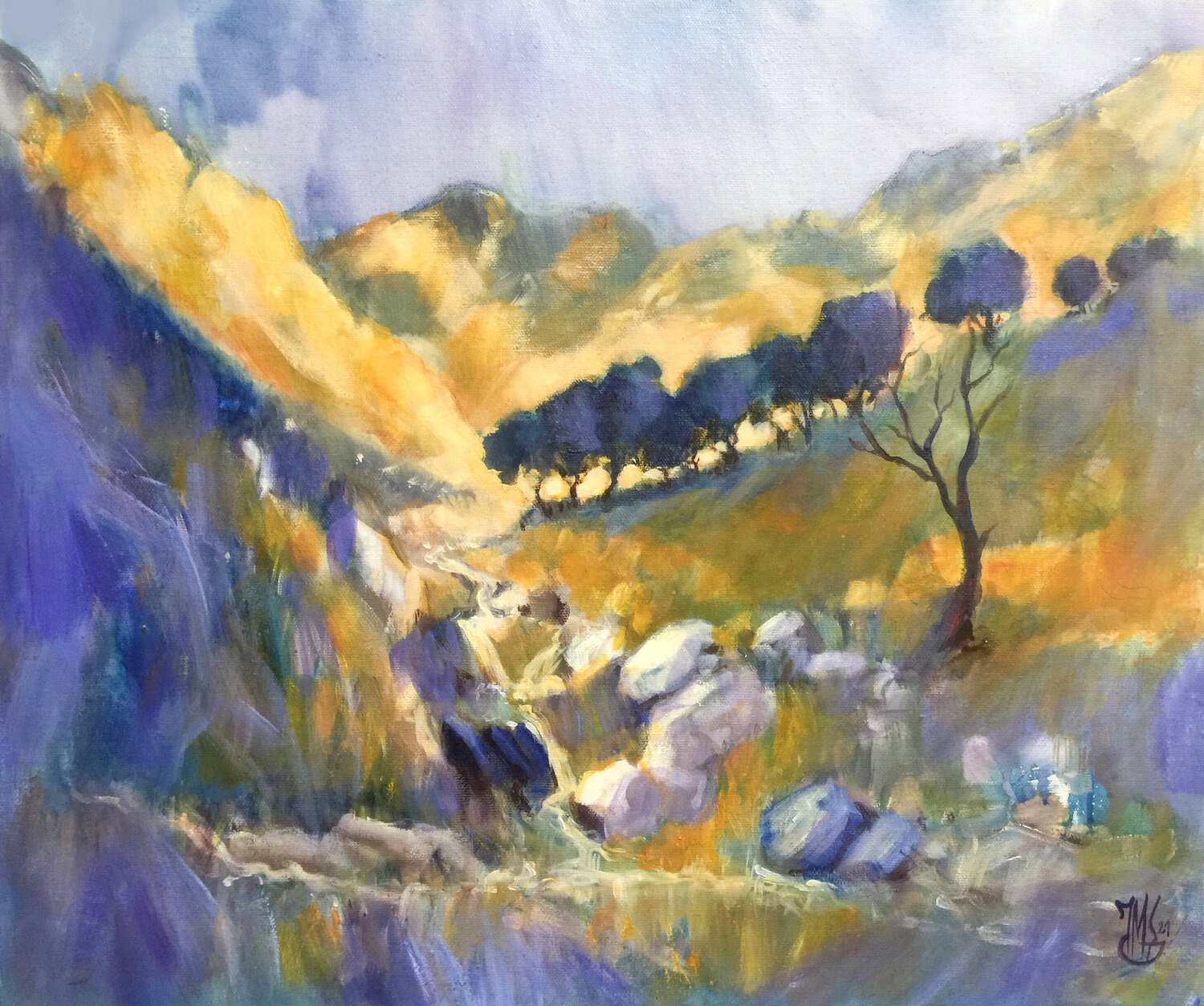 Les abricots sauvages du Shanxi (JMSG1619) by Jean Michel Stanislas ...