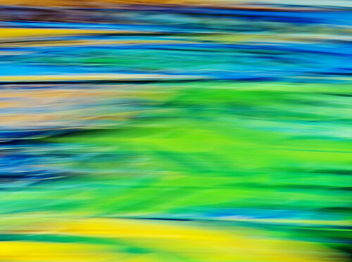 Forest Reflection by Bruce Peebles (2022) : Painting Acrylic, Ink on ...