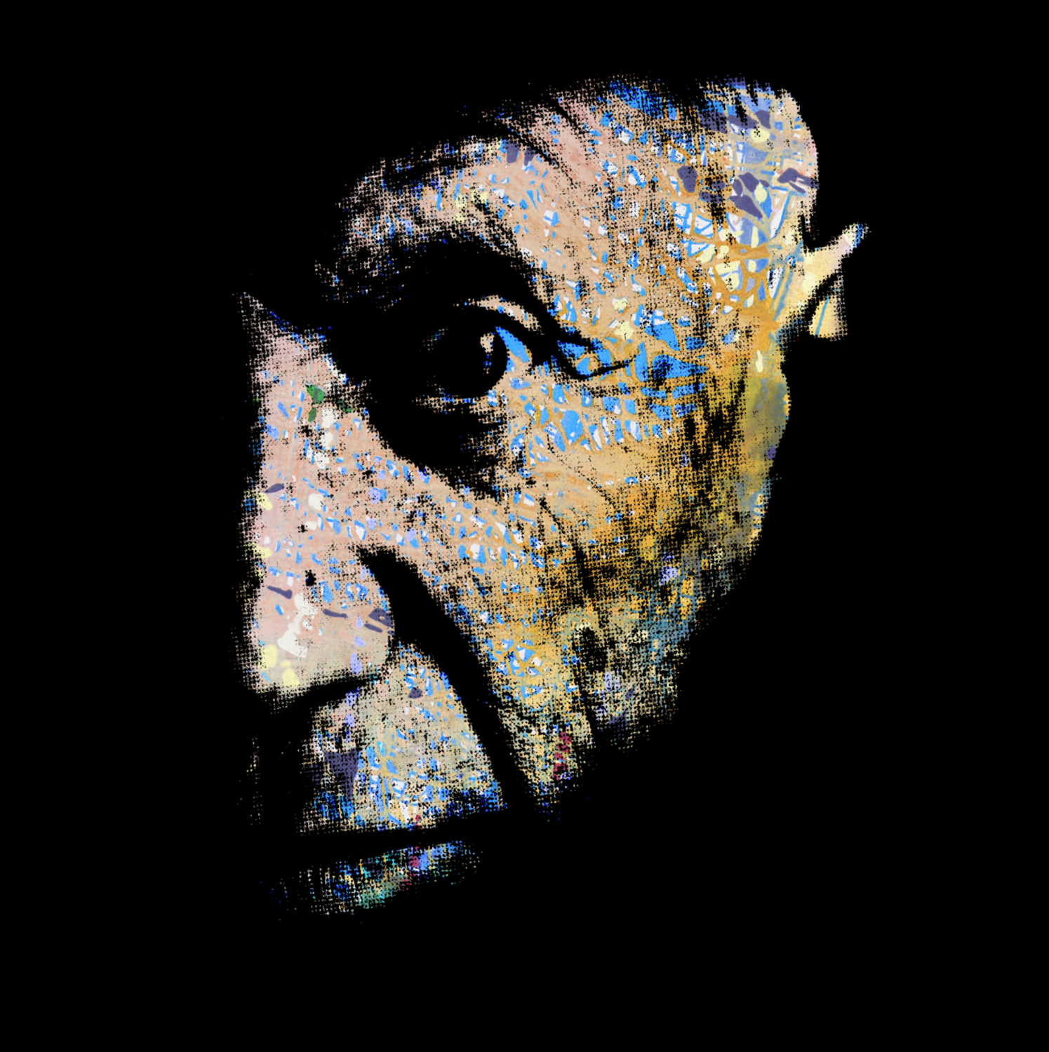 Pablo Picasso by Fred Tiger (2021) : Print Giclée print on Plexiglas ...
