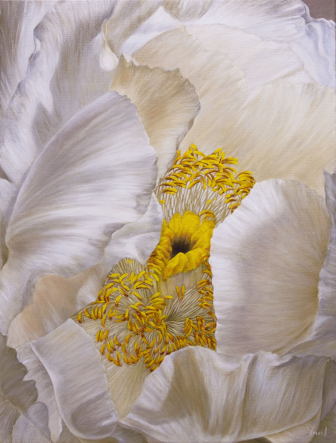 Flores. La Peonia Blanca. by Anastasia Woron (2023) : Painting Oil on ...
