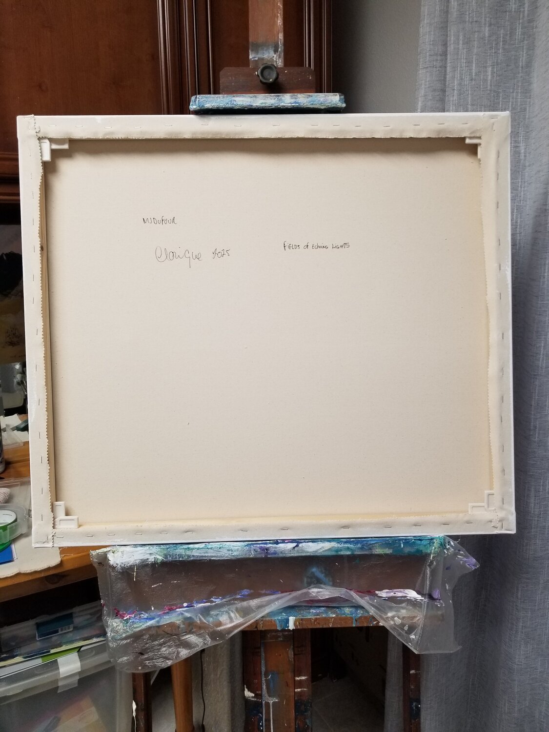 Fields of Echoing Lights by Monique Dufour (2025) : Painting Acrylic on ...