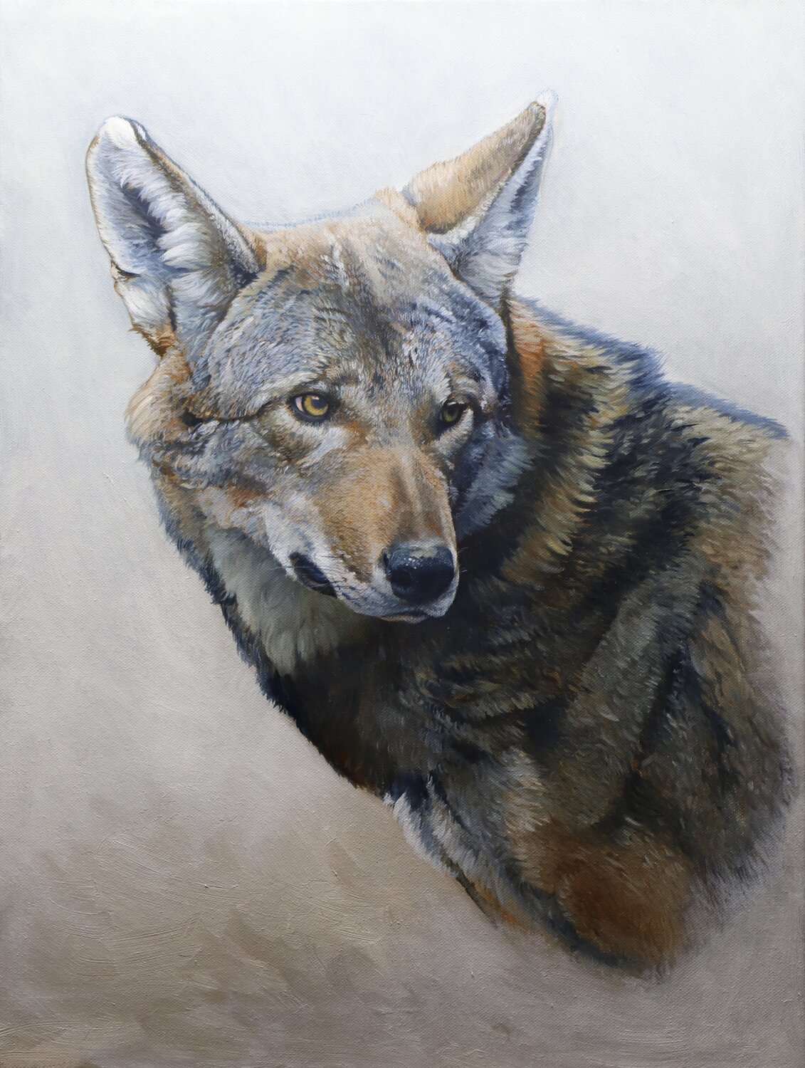 Wolf by Jason Roberts (2023) : Painting Oil on Canvas - SINGULART