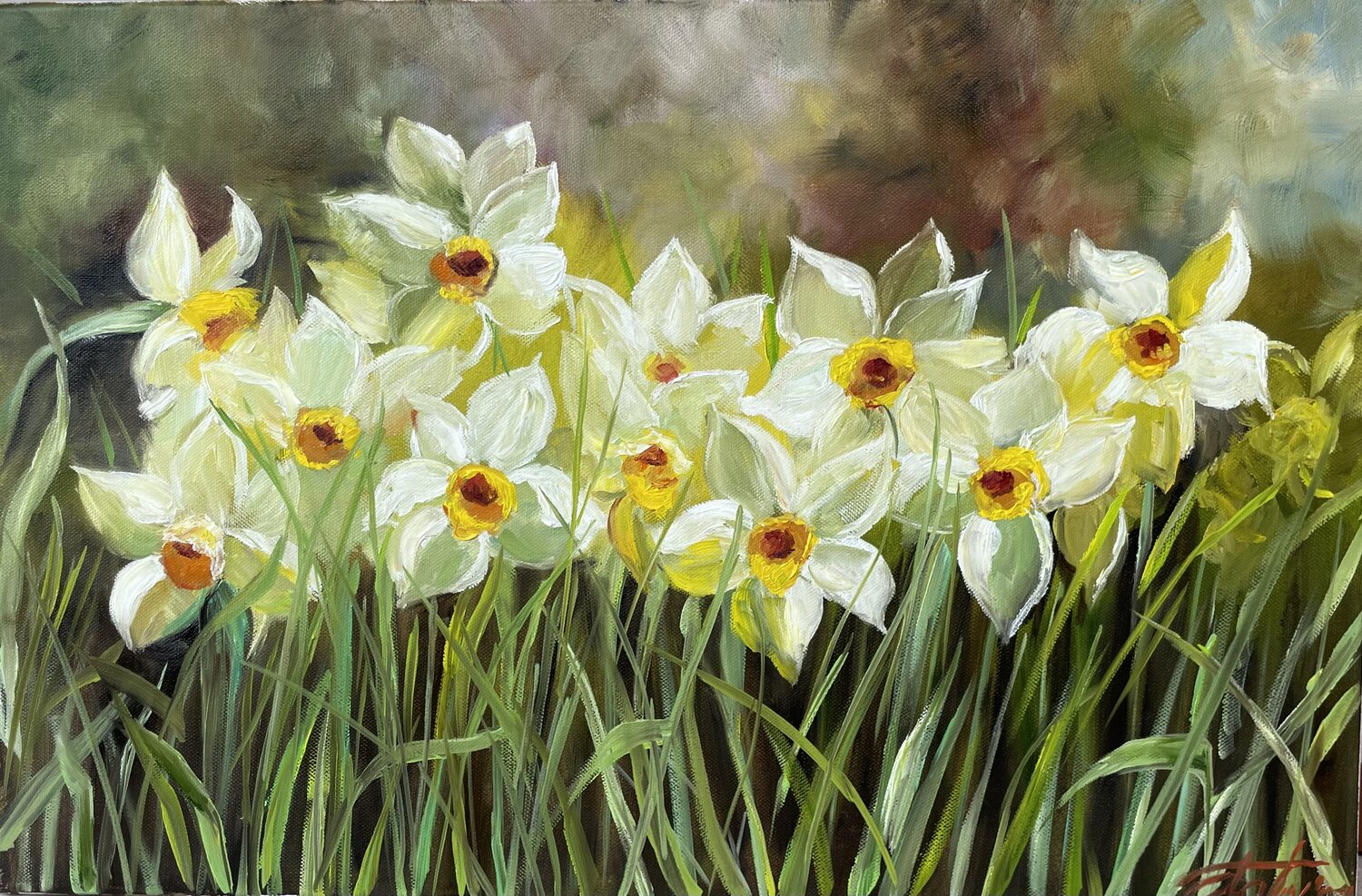 Narcissus Images Flowers at Gerard Ortega blog