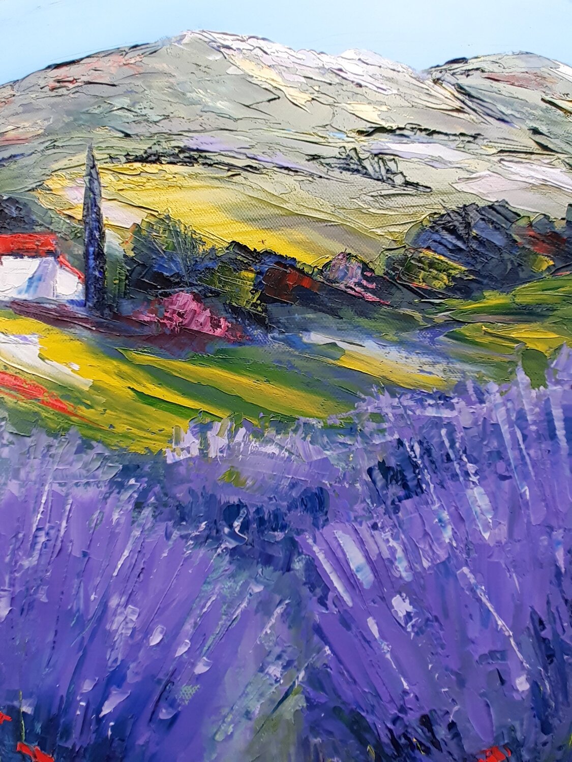 Lavandes dans le Luberon en Provence von Véronique Degabriel (2023 ...