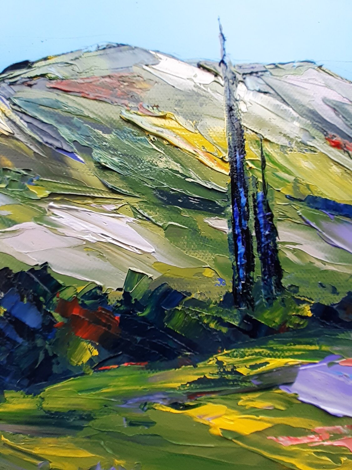 Lavandes dans le Luberon en Provence von Véronique Degabriel (2023 ...