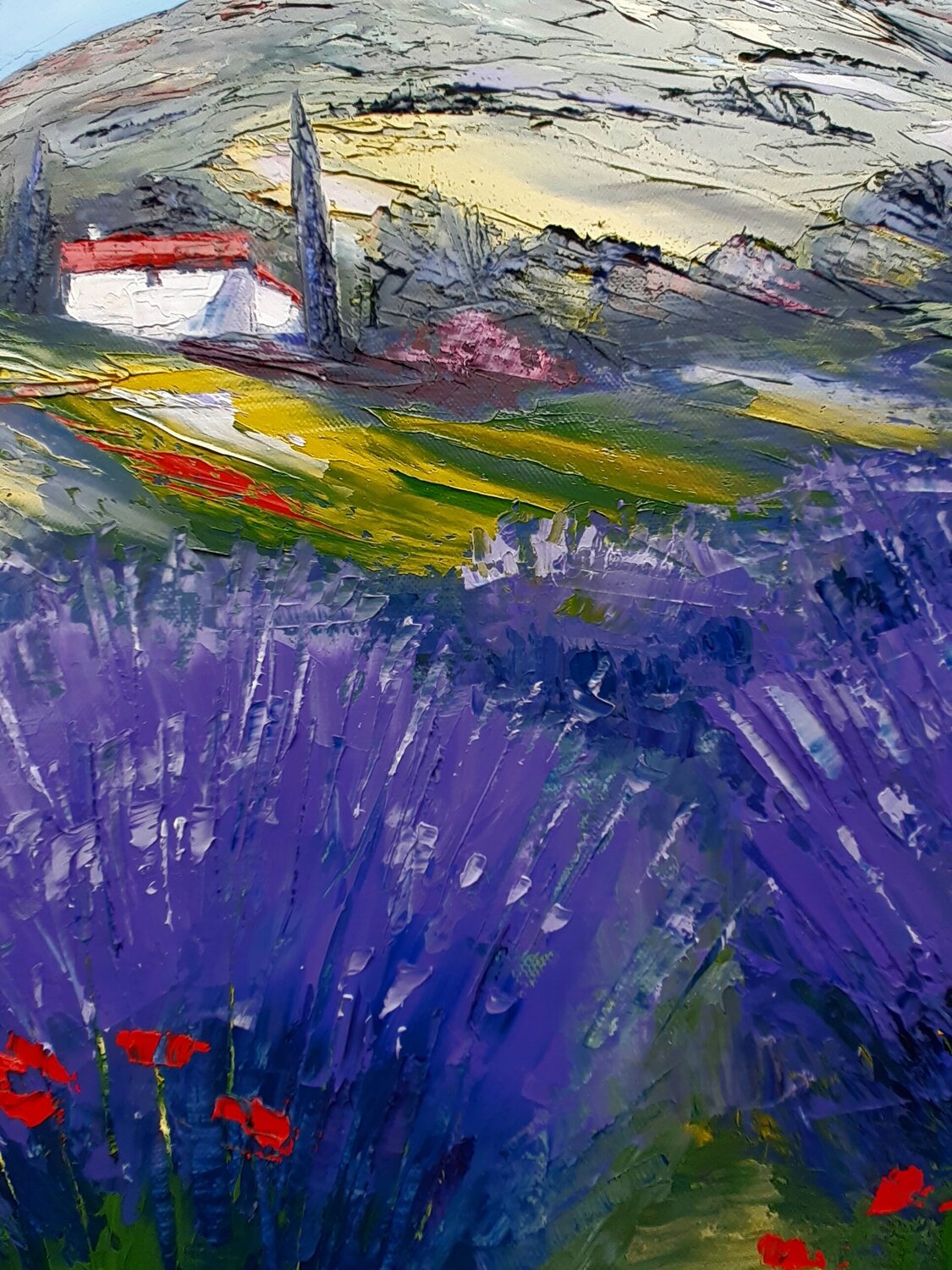 Lavandes dans le Luberon en Provence von Véronique Degabriel (2023 ...