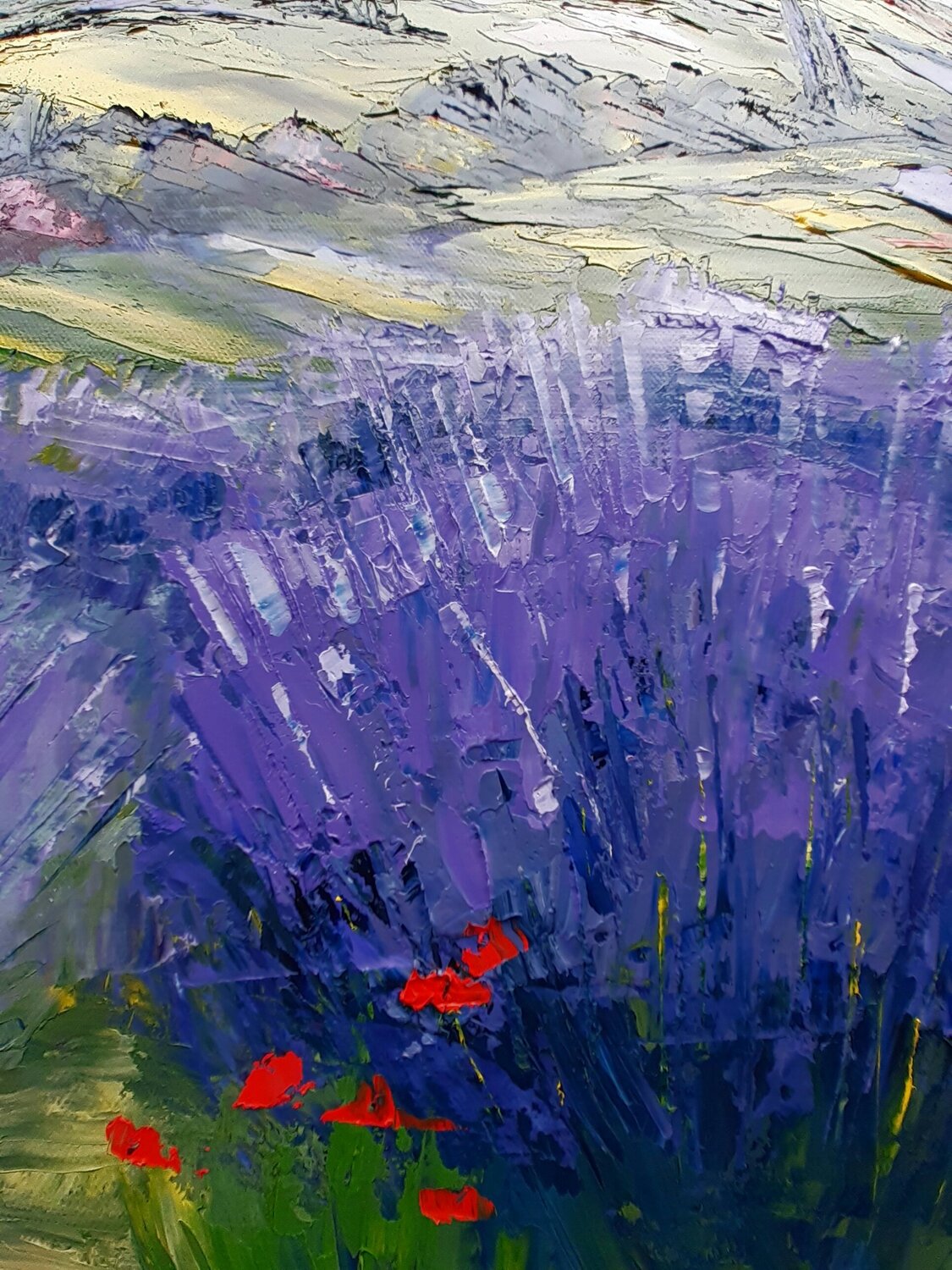 Lavandes dans le Luberon en Provence von Véronique Degabriel (2023 ...