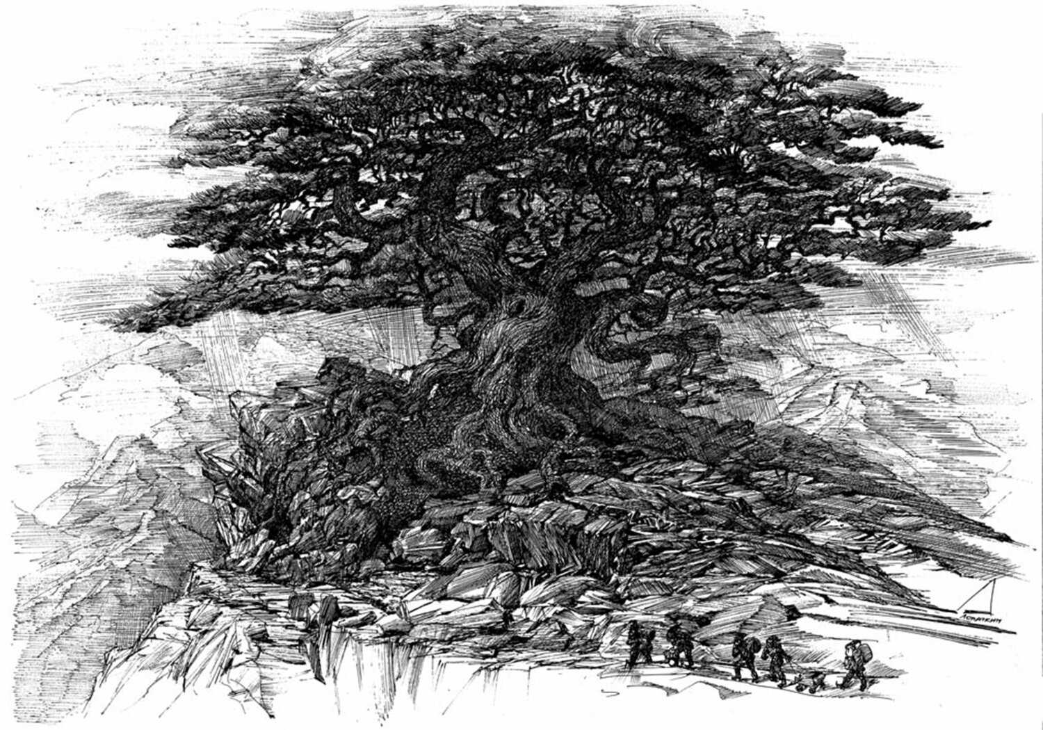 Magic Tree Drawing by Alex Lopatkin (2017) : Drawing Pen on Paper ...