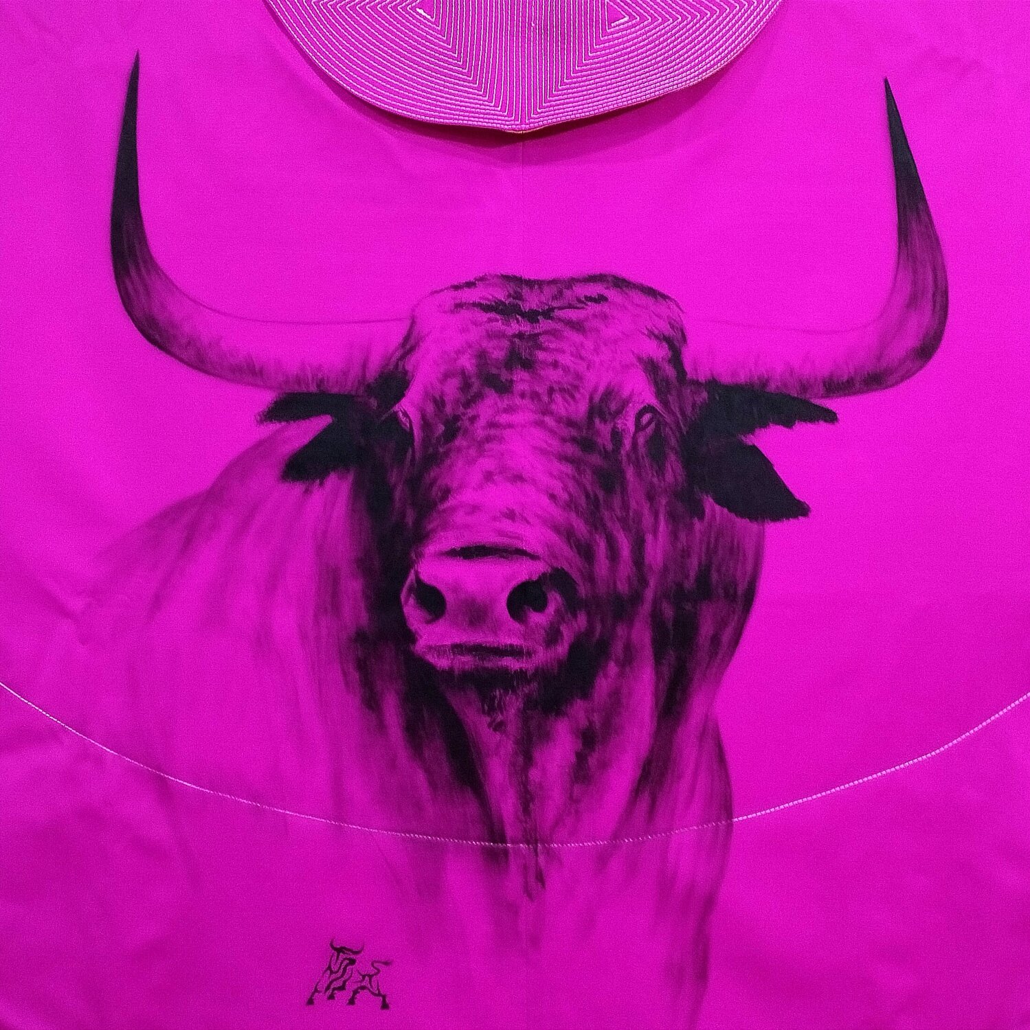 CAPOTE TRIBAL by Toro Tribal (2024) : Painting Acrylic on Leather ...