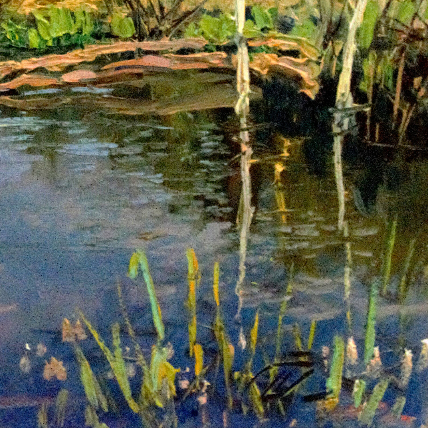 Realistic Pond Painting
