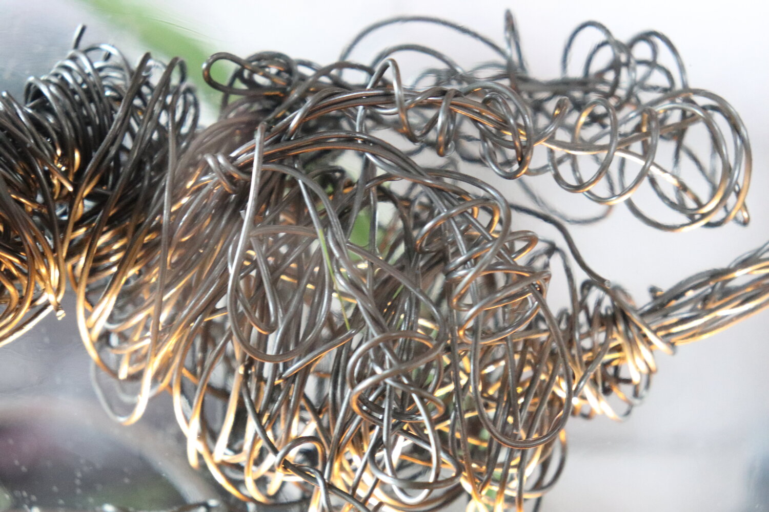 Insegnami a volare - merlo door Donatella Marraoni (2025 ...