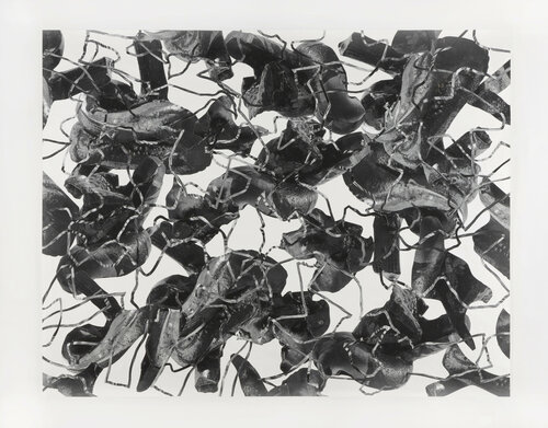 Gentle Eyes by Ray Beldner (2020) : Work on Paper Collage on Paper ...