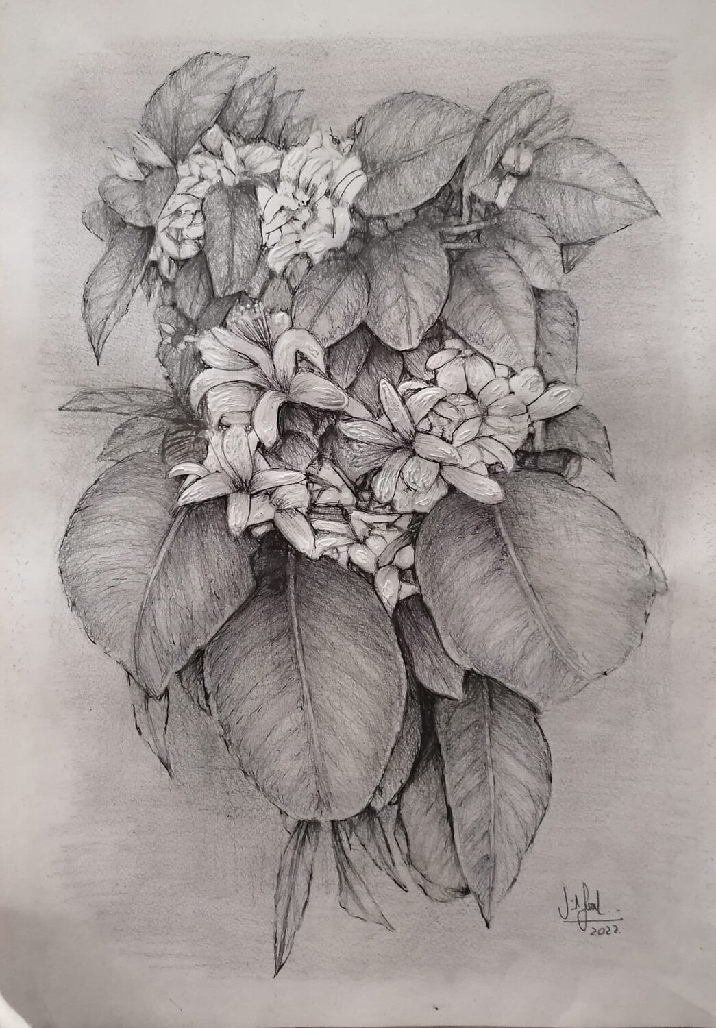 Ramito de azahar by Vicente Raúl Fernández Román (2022) : Drawing ...