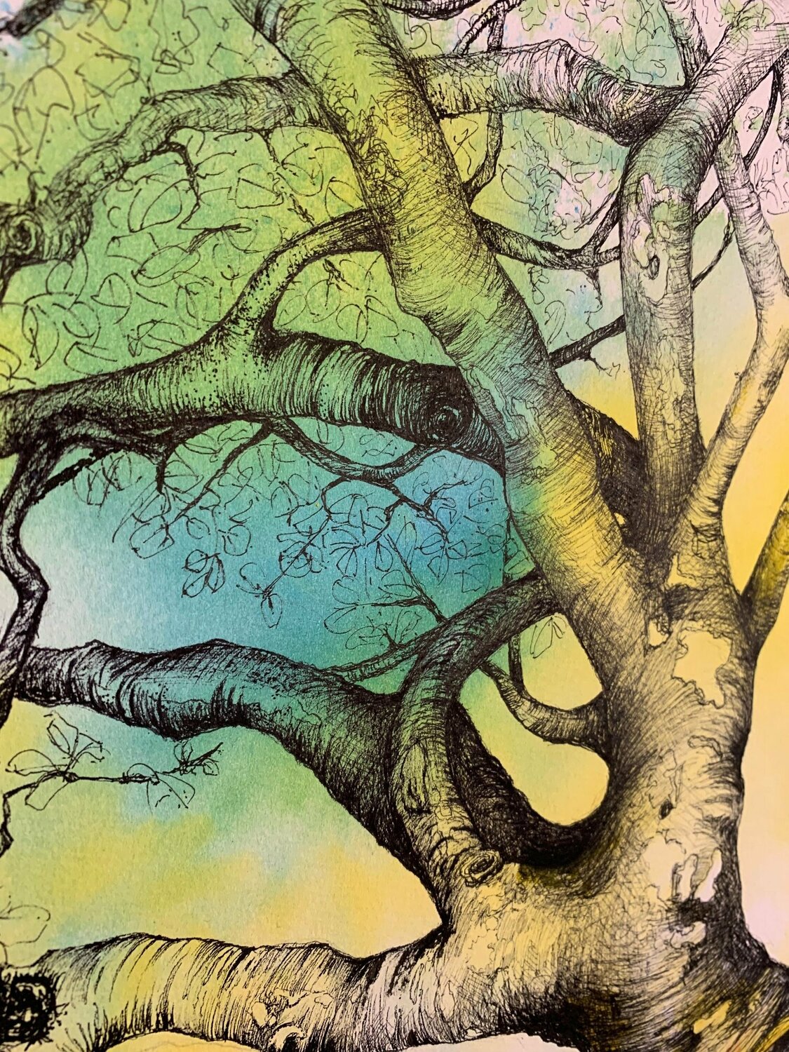 Gnarly by Cathy Gilday (2020) : Drawing Pen, India Ink on Paper - Singulart