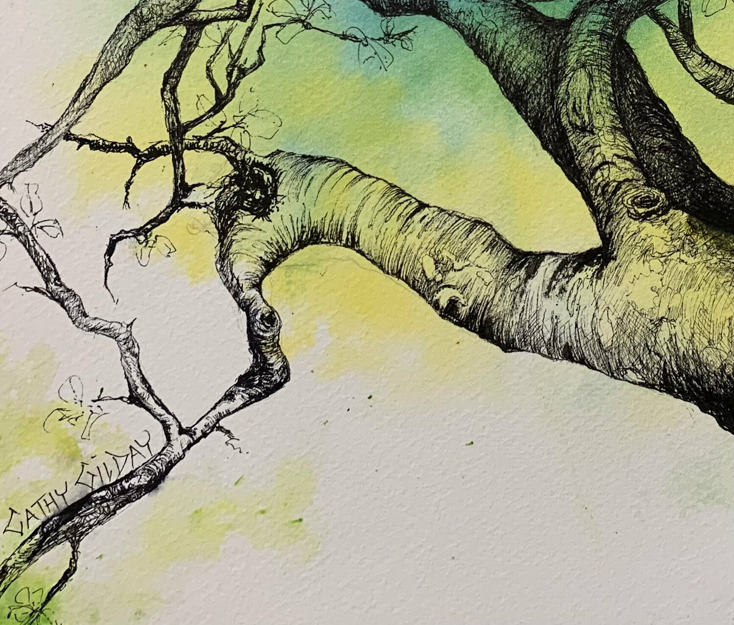 Gnarly by Cathy Gilday (2020) : Drawing Pen, India Ink on Paper - Singulart