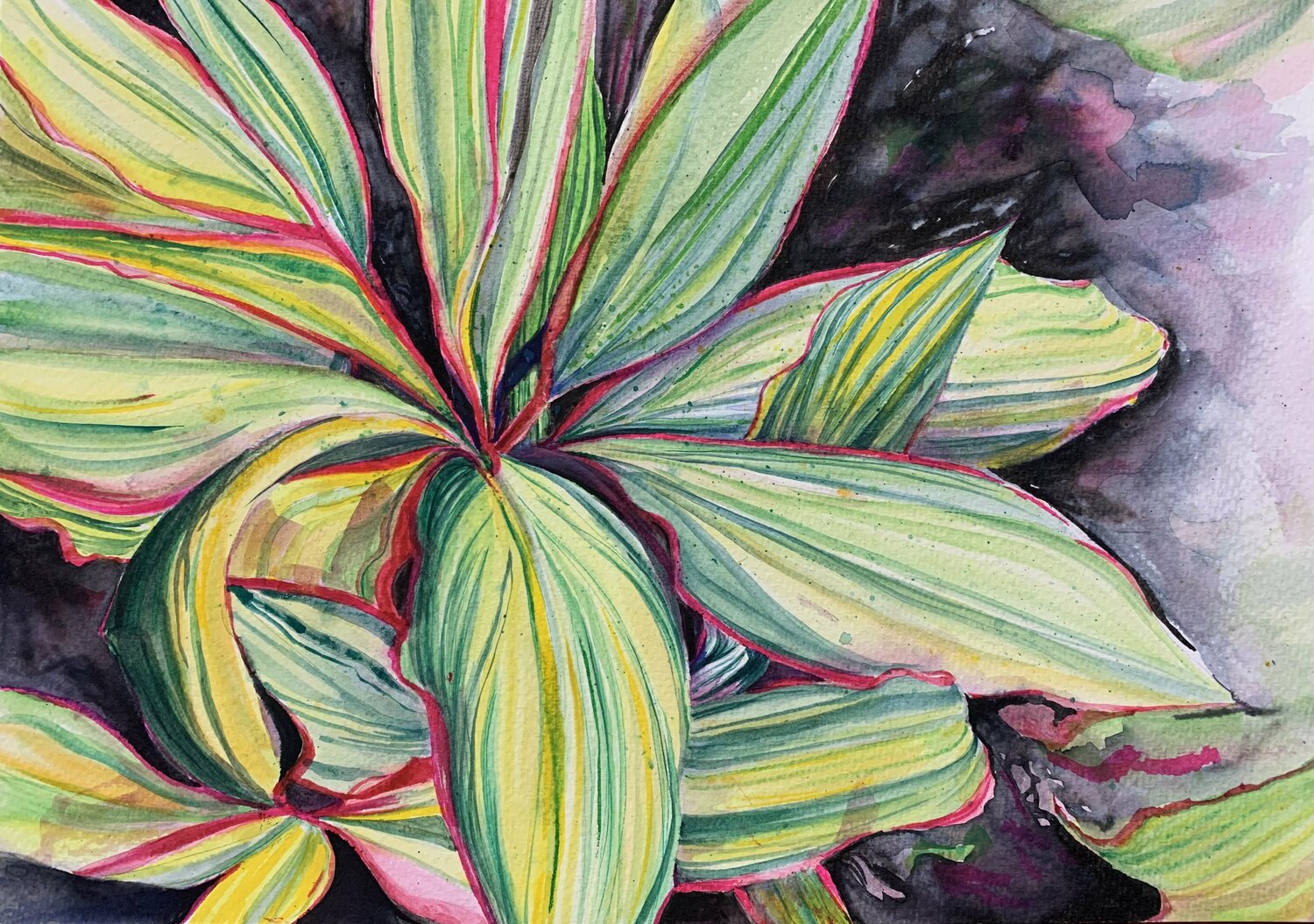 Green Crush by Cathy Gilday (2018) : Drawing Pen, Colored Pencil on ...