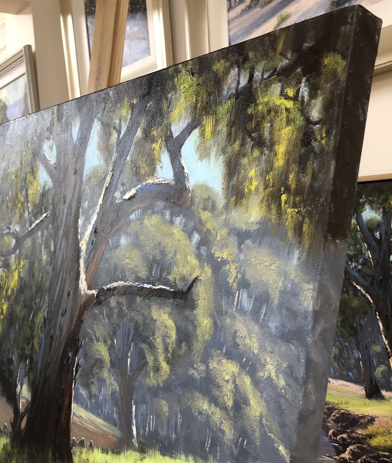 River Gum, Dubbo by John Rice (2023) : Painting Oil on Canvas - Singulart