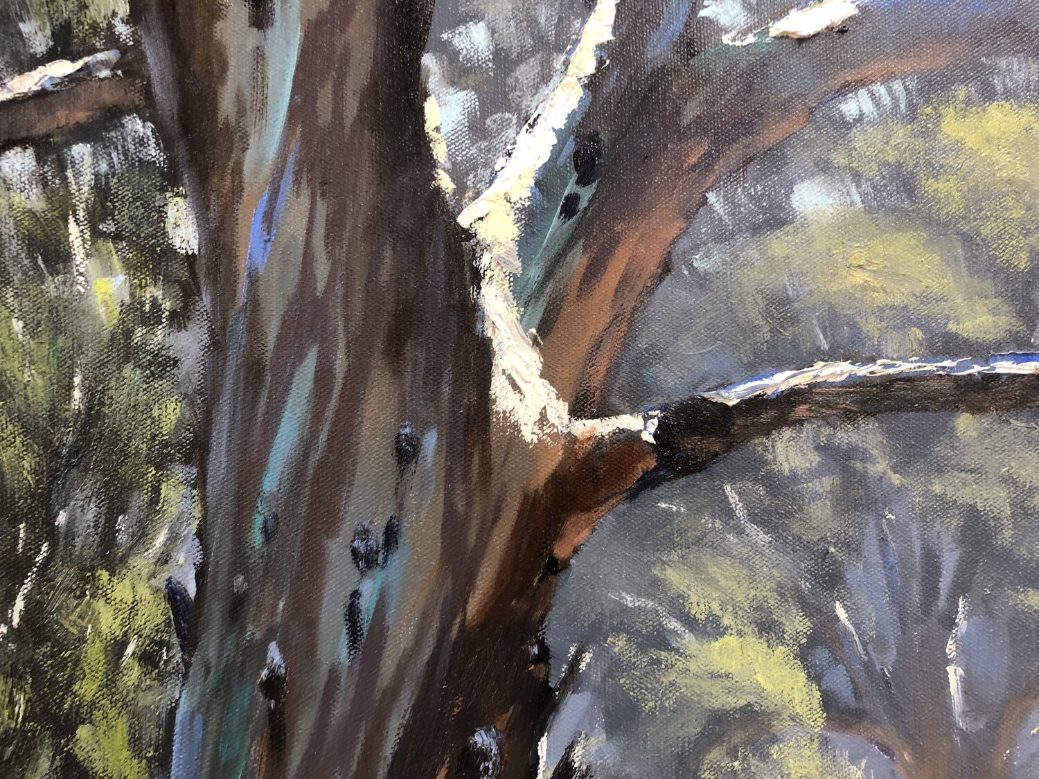 River Gum, Dubbo by John Rice (2023) : Painting Oil on Canvas - Singulart