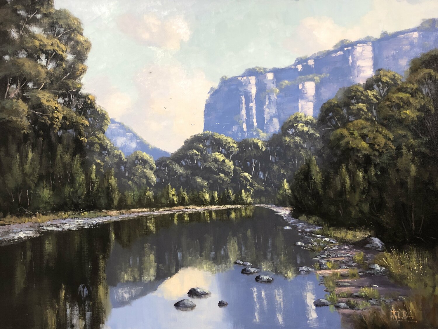 Carnarvon Gorge by John Rice (2019) : Painting Oil on Linen - Singulart
