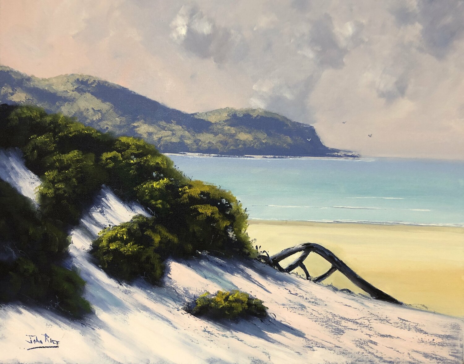 Maria Island, Tasmania by John Rice (2019) : Painting Oil on Canvas ...