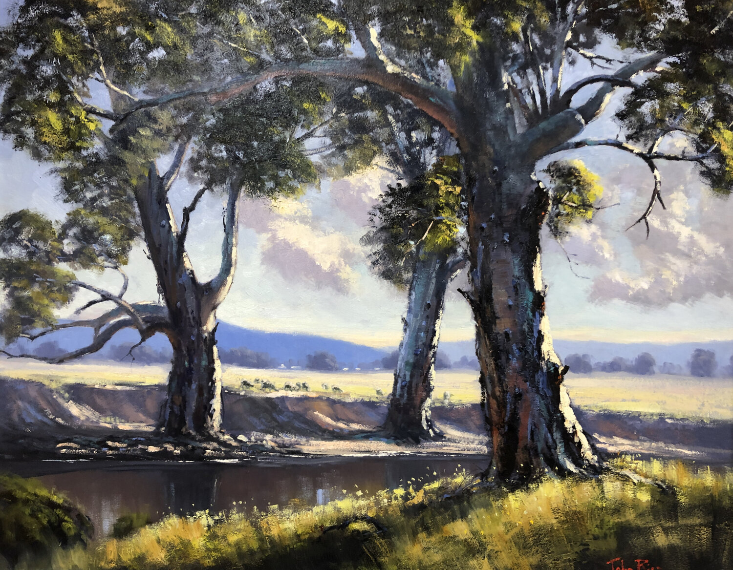 River Gums by John Rice (2021) : Painting Oil on Wood - Singulart