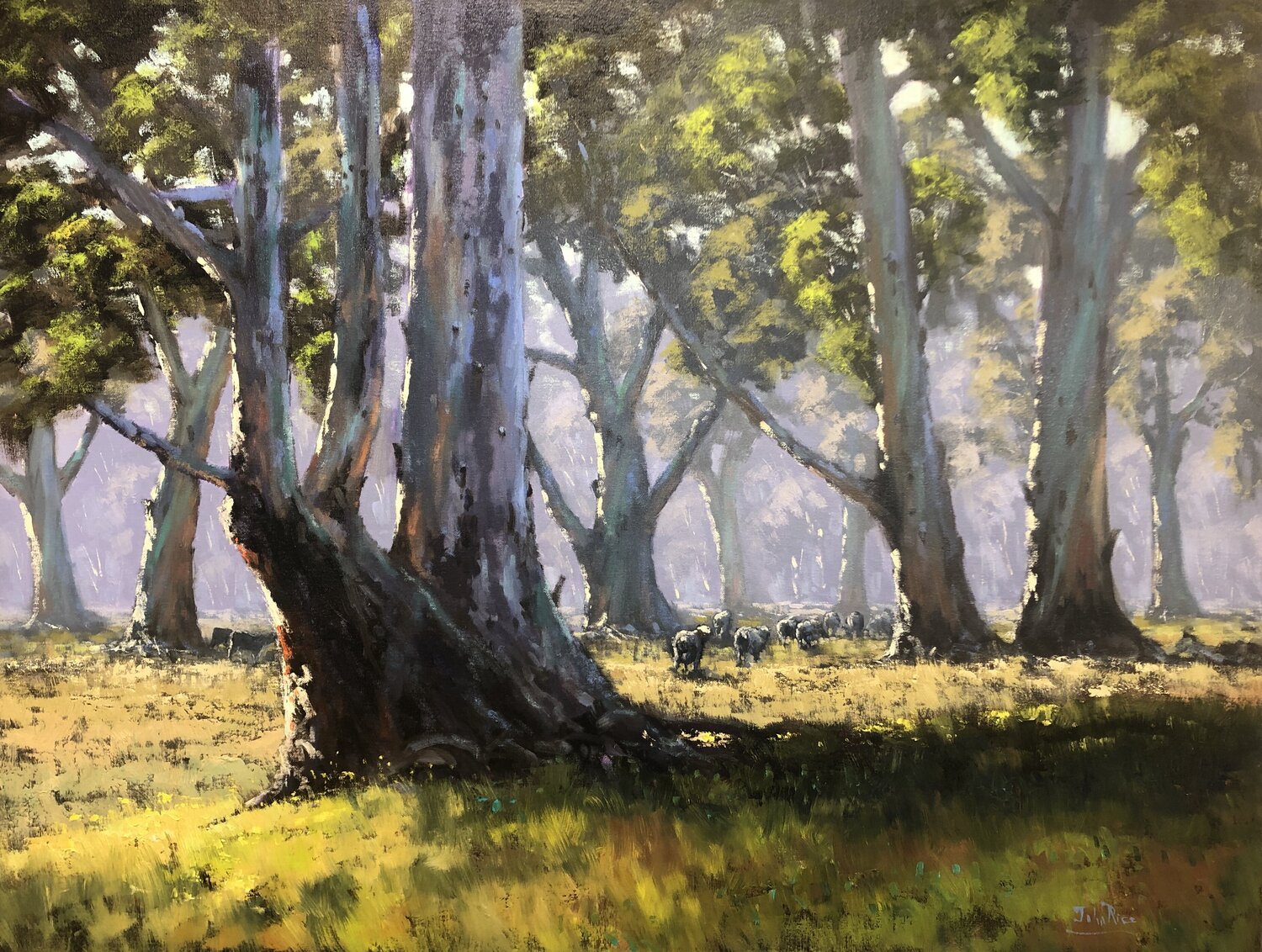 Sunlight Through The Trees, Yanco by John Rice (2022) : Painting Oil on ...