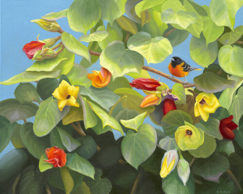 Mountain Bluebird in Evergreen by Elizabeth Rickert (2022) : Painting ...