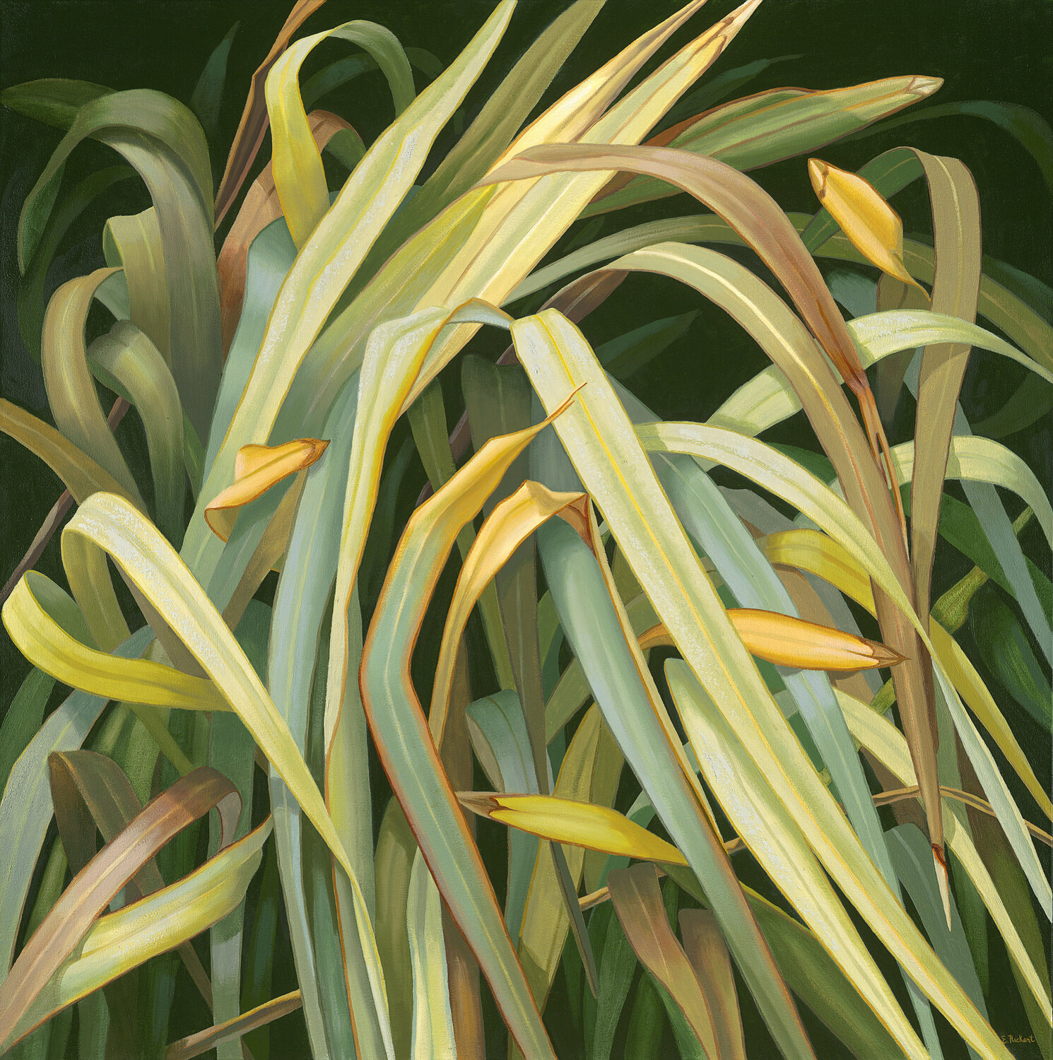 Entanglement 1 by Elizabeth Rickert (2021) : Painting Oil on Canvas ...