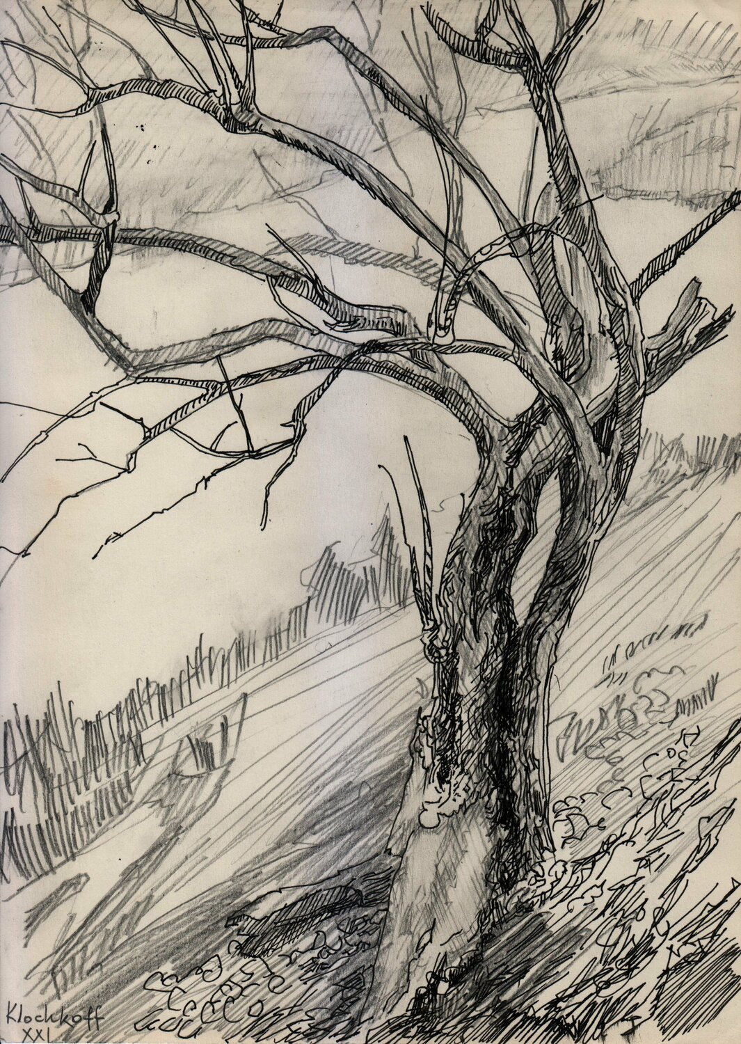 Withered Tree Drawing